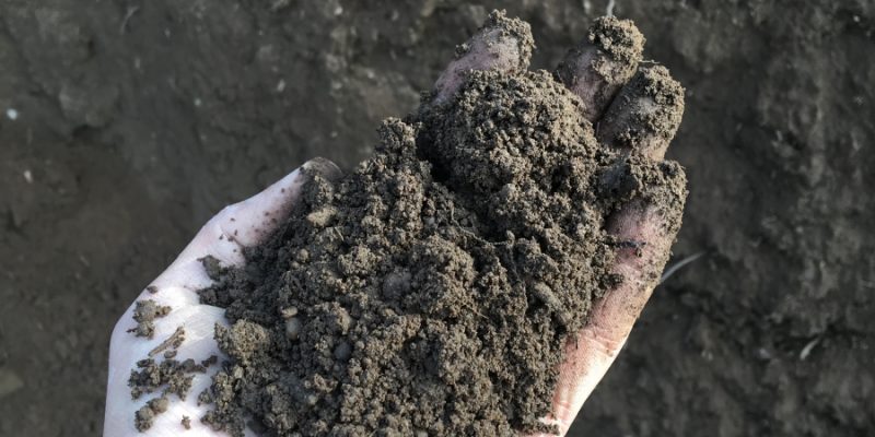 Topsoil, Loam Soil and Local Compost Delivery | DHLoam